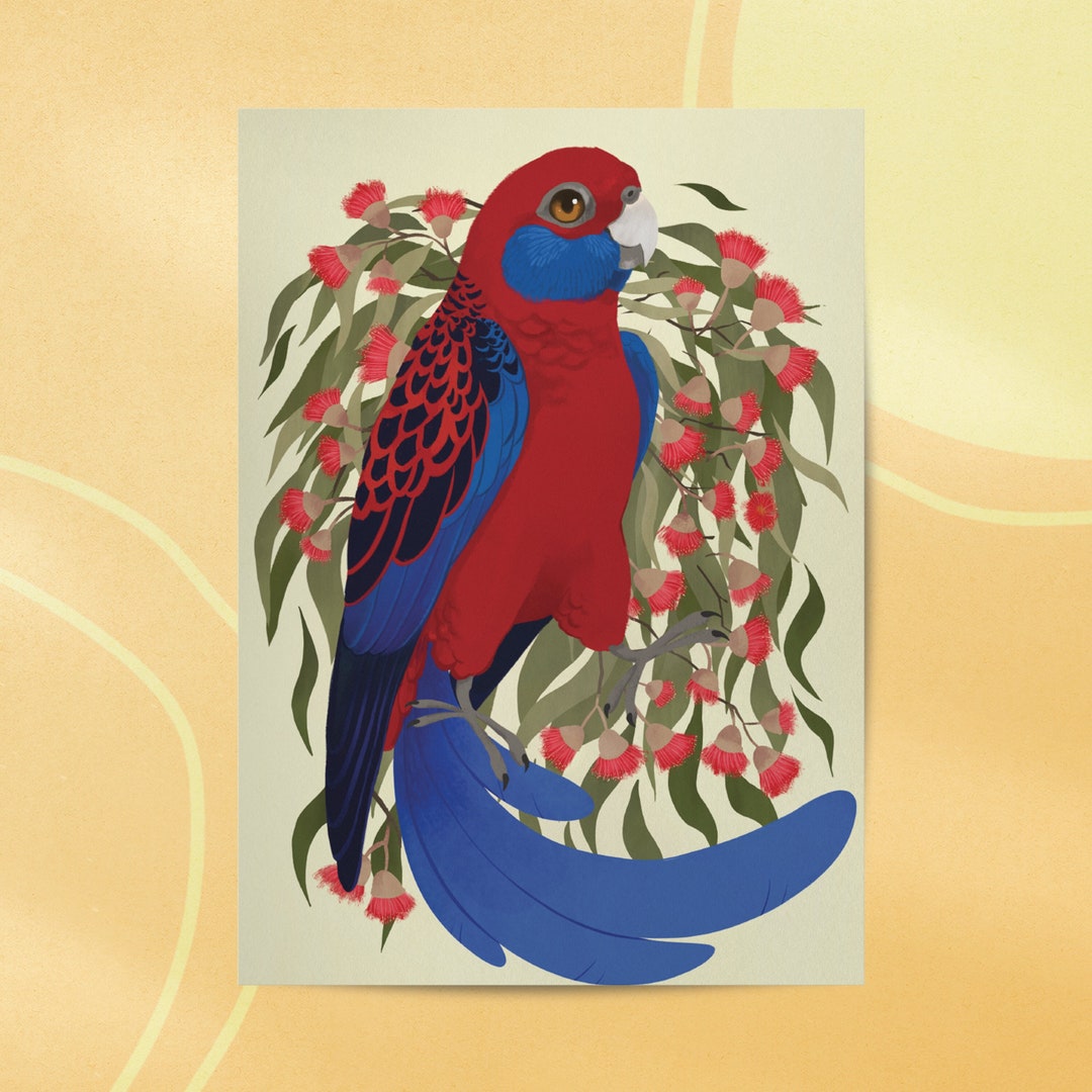 Crimson Rosella Print | High Quality Giclee Original Art Print - Etsy