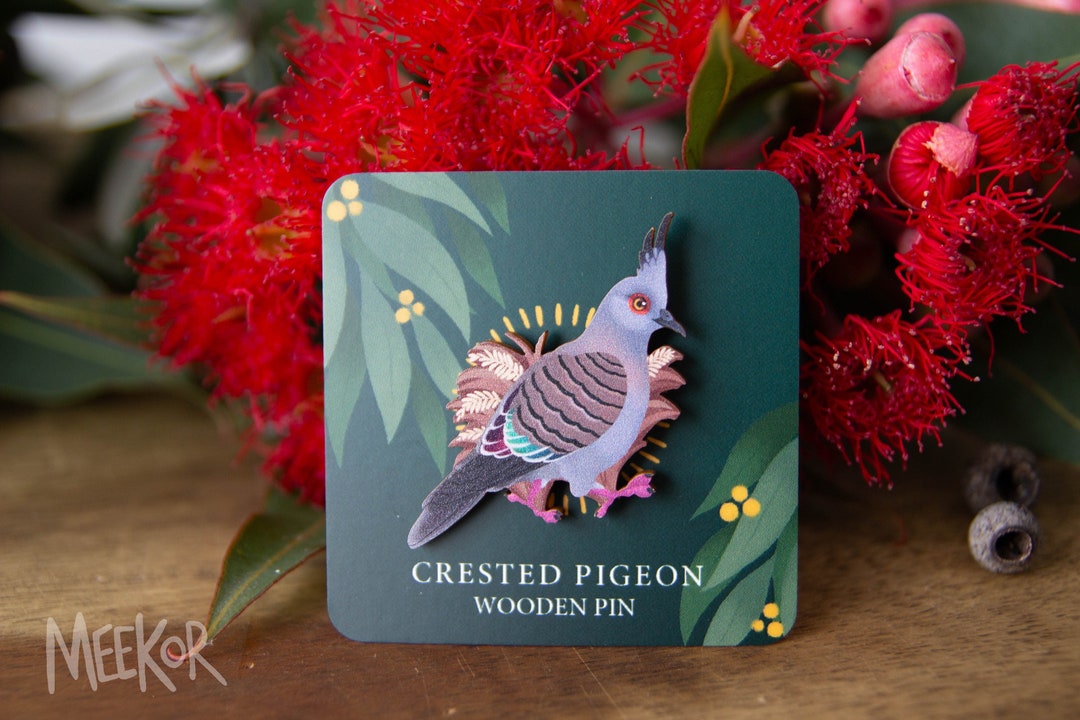 Crested Pigeon Wooden Pin: Australian Made Artist Pin - Etsy