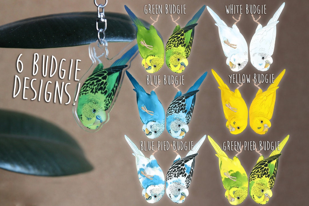 Dangling Budgie Parakeet Buddy Acrylic Charm - Etsy