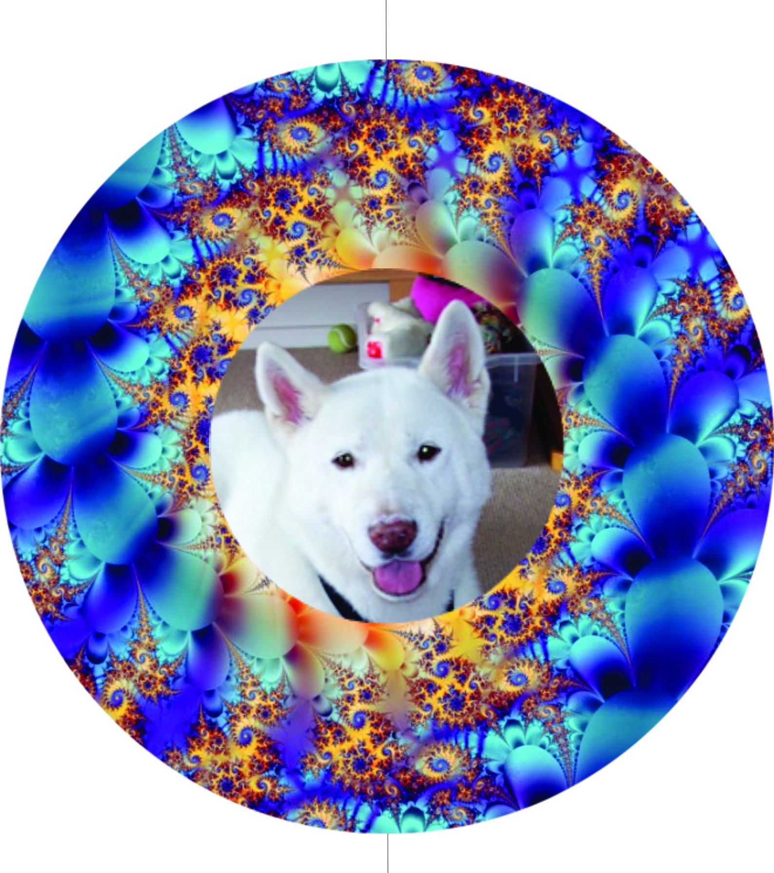 Custom Photo Wind Spinner Stainless Steel - Etsy