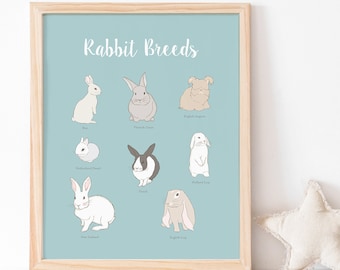 Rabbit Breeds Poster - Etsy UK