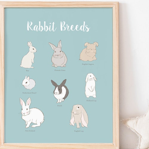Rabbit Poster Instant Download Printable Wall Decor Child | Etsy