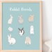 Rabbit Poster - Instant Download, Printable Wall Decor, Child ...