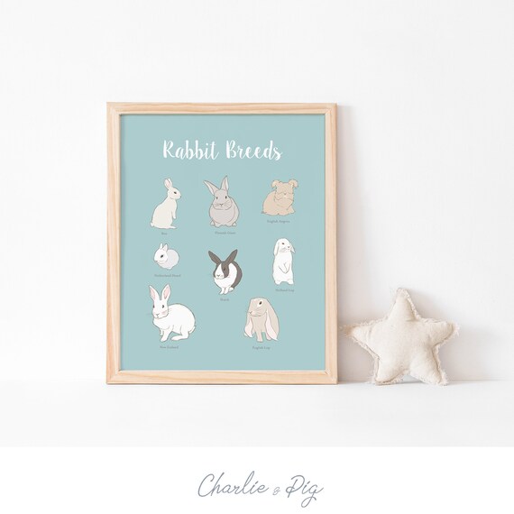 Rabbit Poster Instant Download Printable Wall Decor Child | Etsy