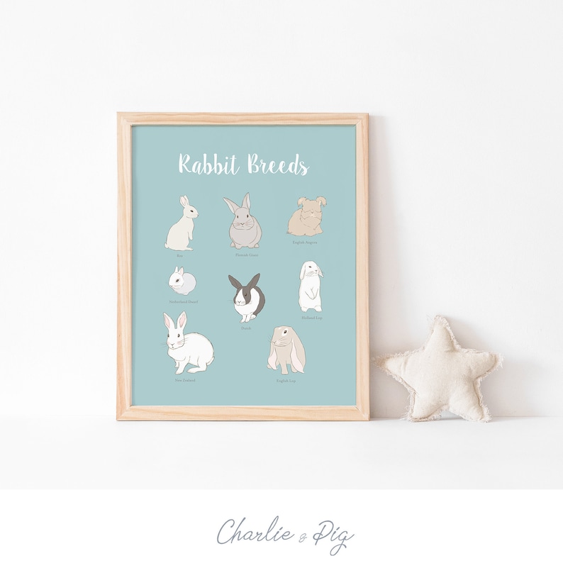 Rabbit Poster Instant Download Printable Wall Decor Child - Etsy