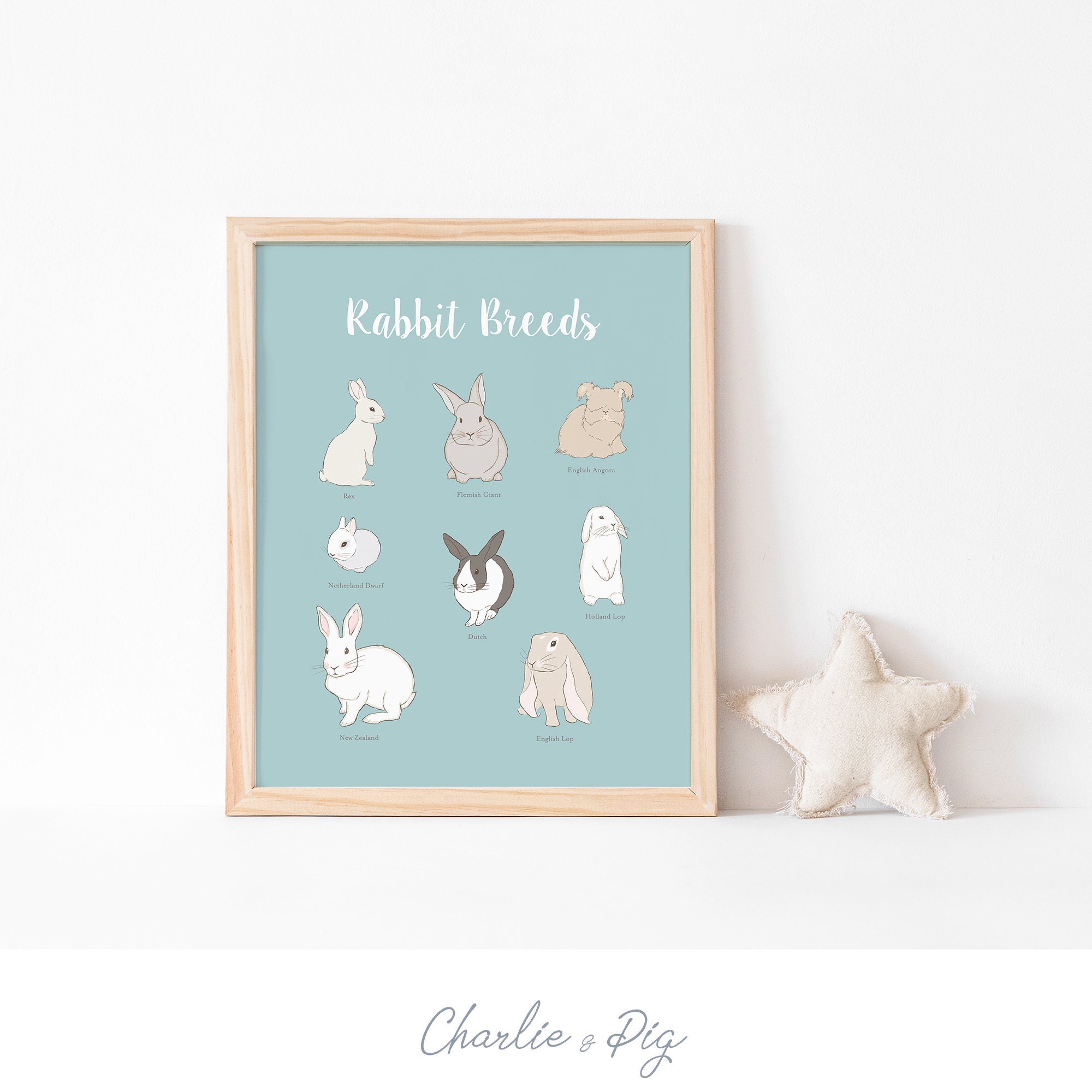 Rabbit Poster Instant Download Printable Wall Decor Child - Etsy