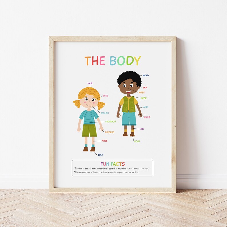 Parts of the Body Poster educational print learn about the | Etsy