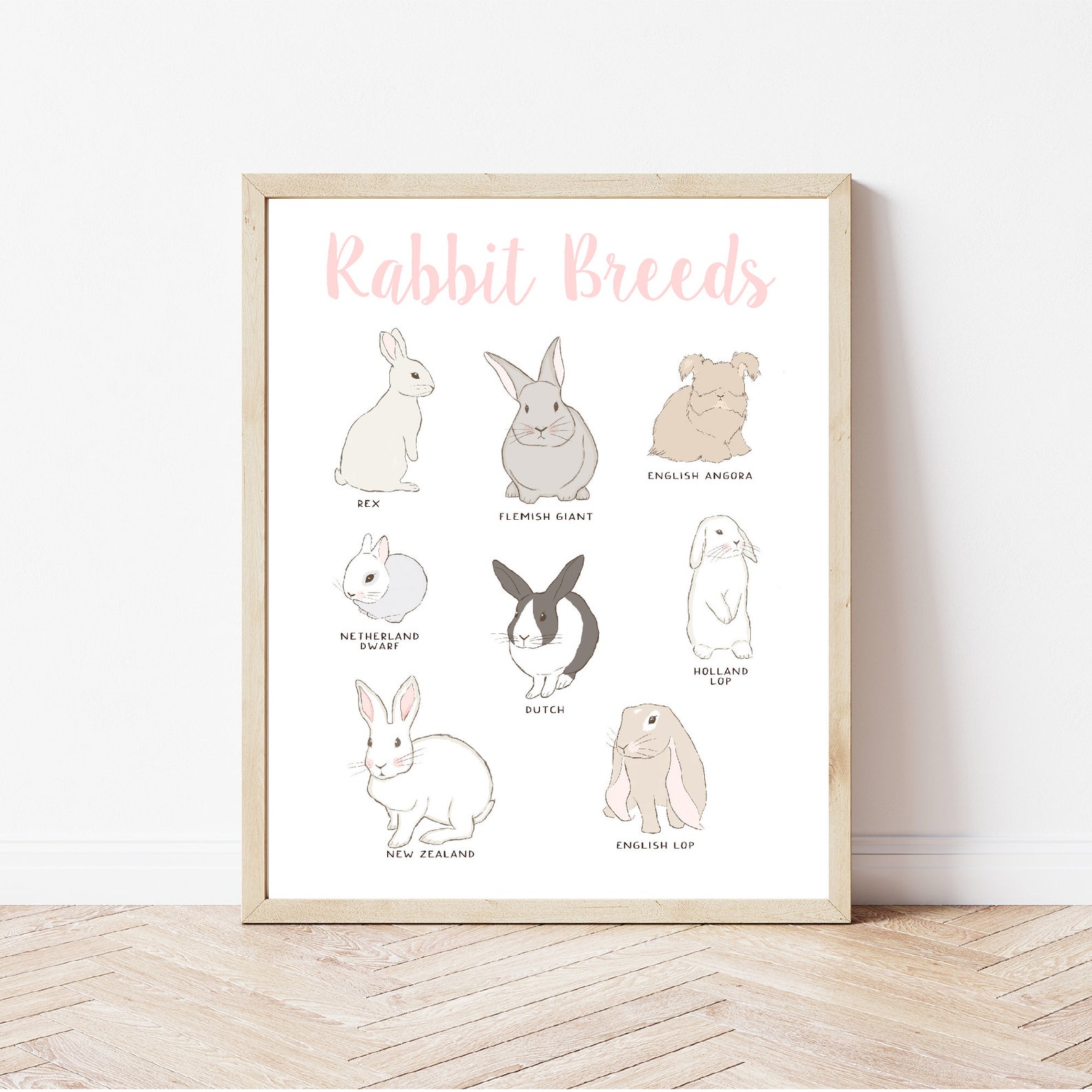 Rabbits Printable Types of Rabbits Chart Easter Print - Etsy UK