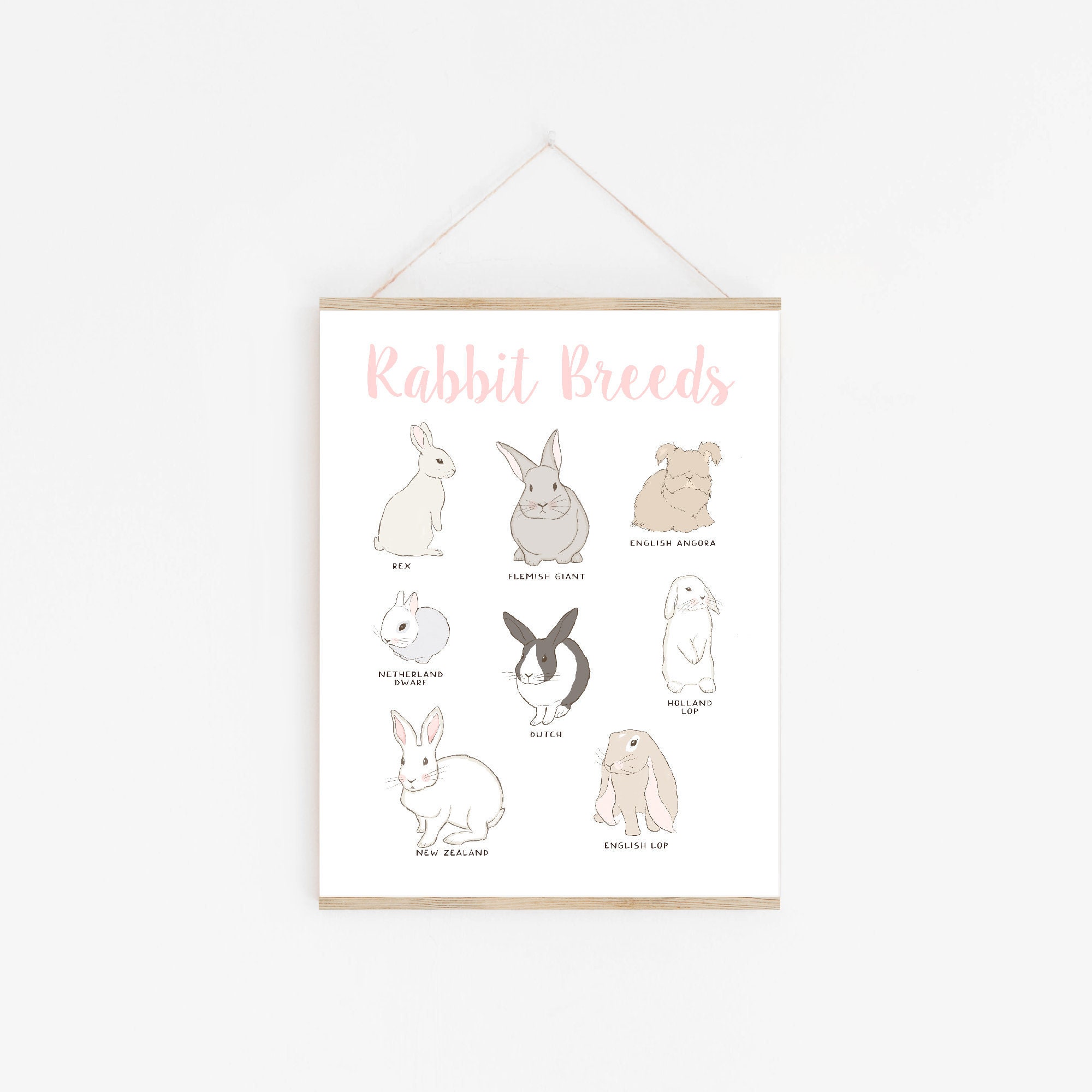 Rabbits Printable Types of Rabbits Chart Easter Print - Etsy