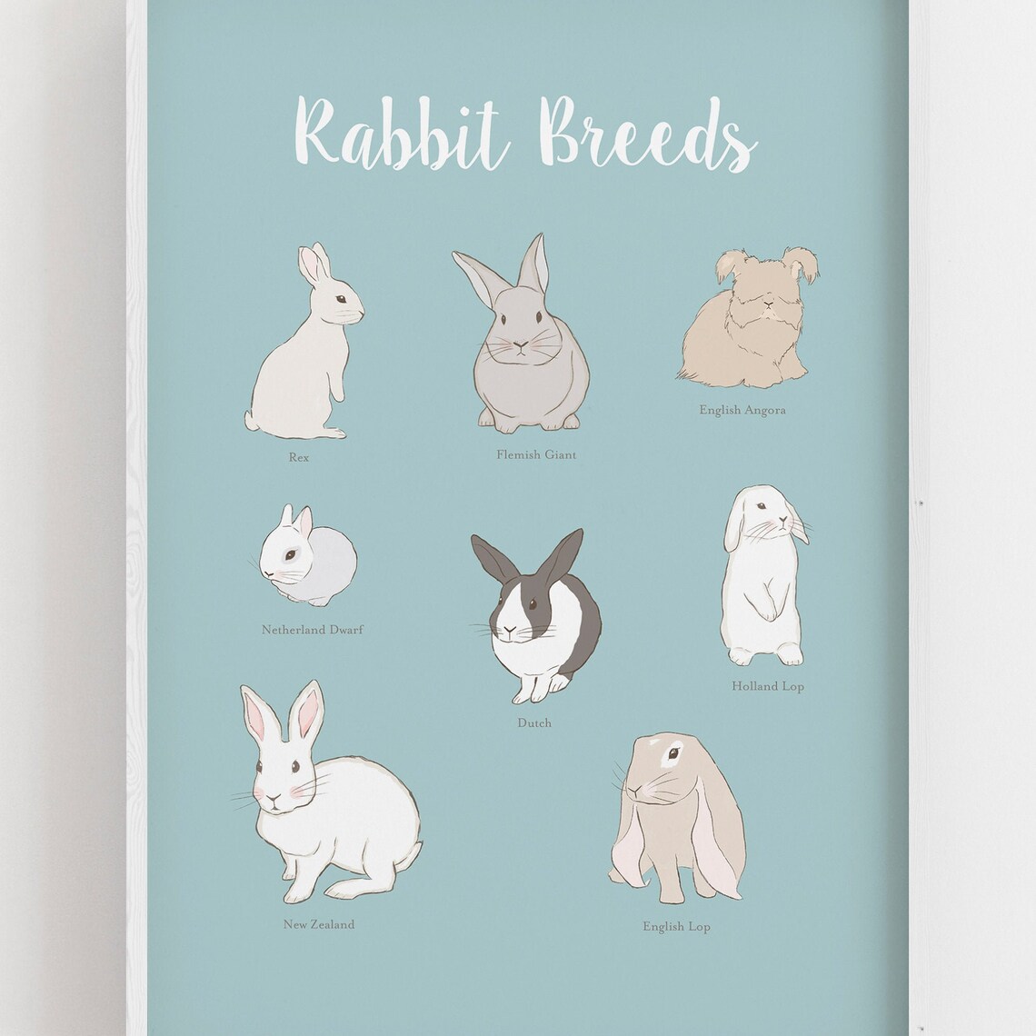 Rabbit Poster Instant Download Printable Wall Decor Child - Etsy