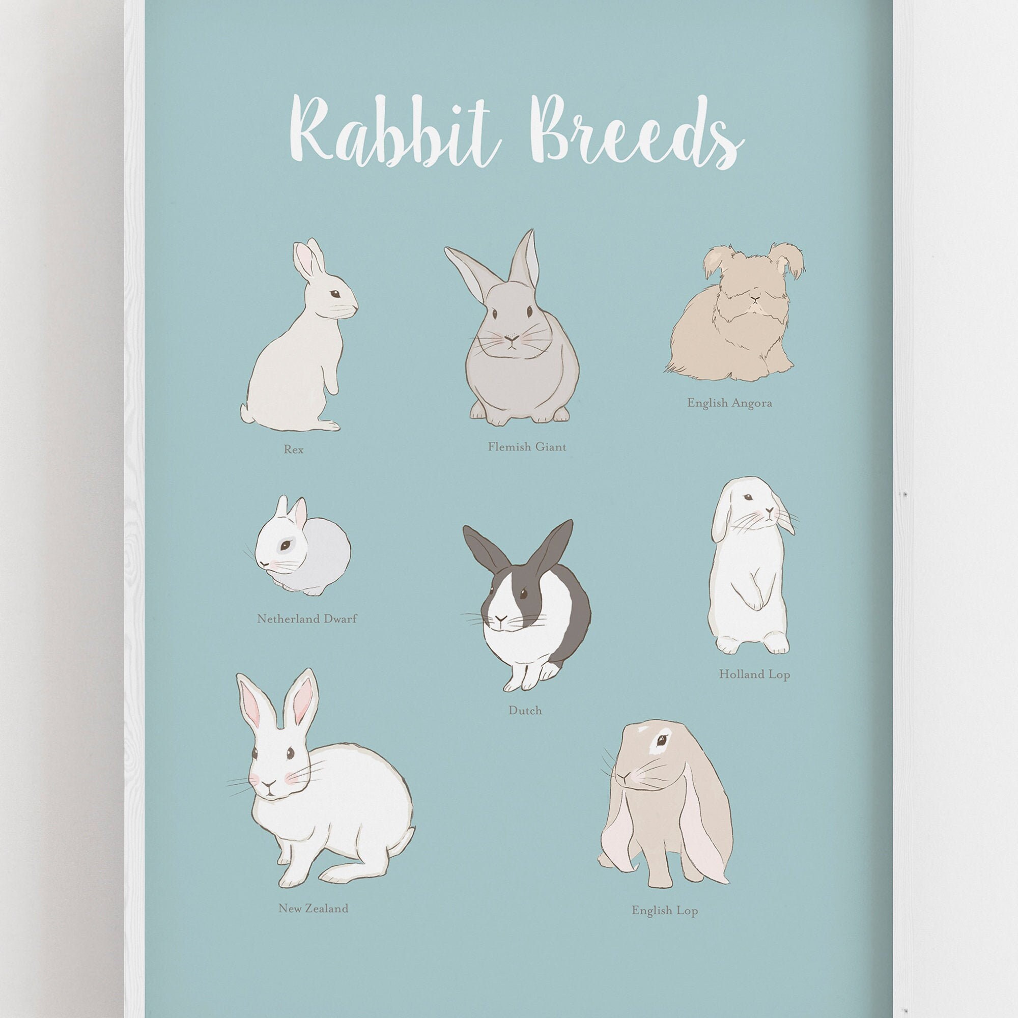 Rabbit Poster Instant Download Printable Wall Decor Child - Etsy