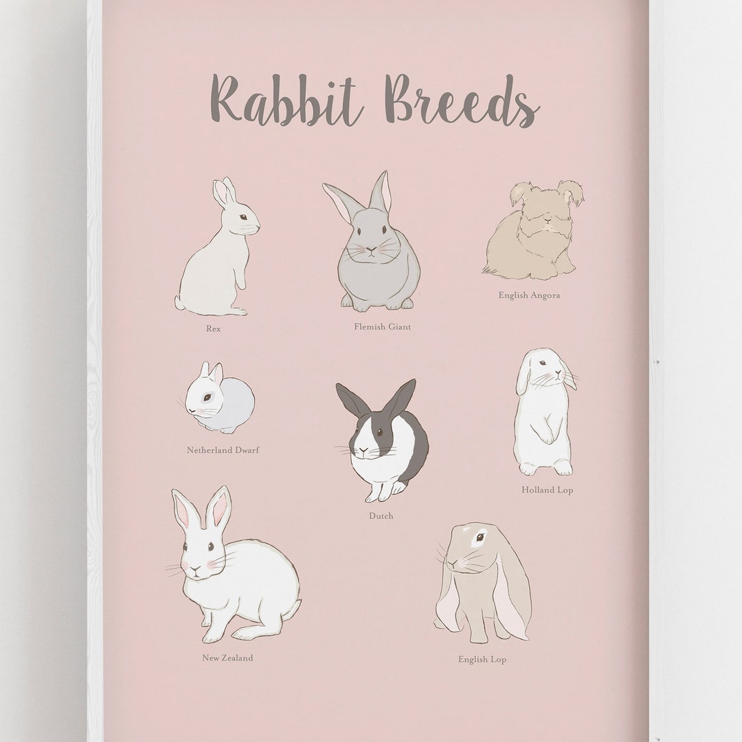 Rabbit Breeds Printable Wall Art - Instant Download, Rabbit Lovers ...