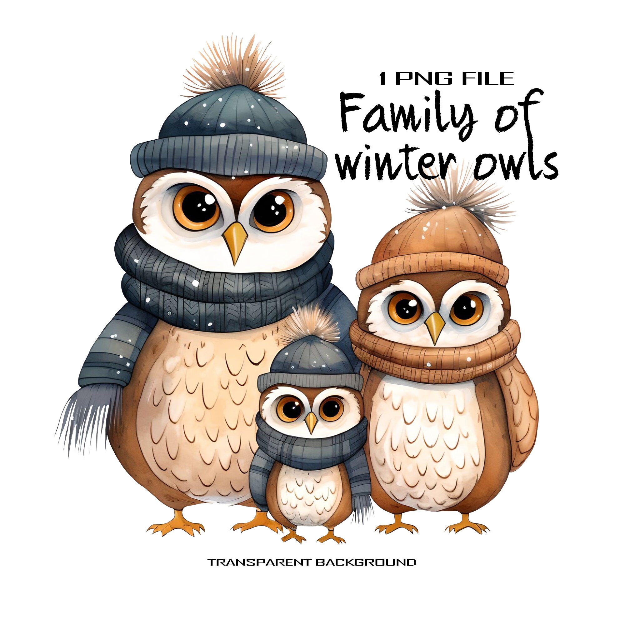 Cute Winter Owl Clipart
