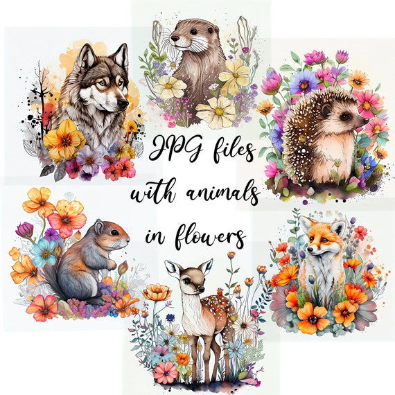 Cute Forest Animals Drawings