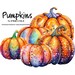 Colorful Watercolor Pumpkins Clipart Set of 5 Images - Etsy