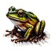 Frog Png Digital Files for T-shirts Designs. Colorful Funny - Etsy