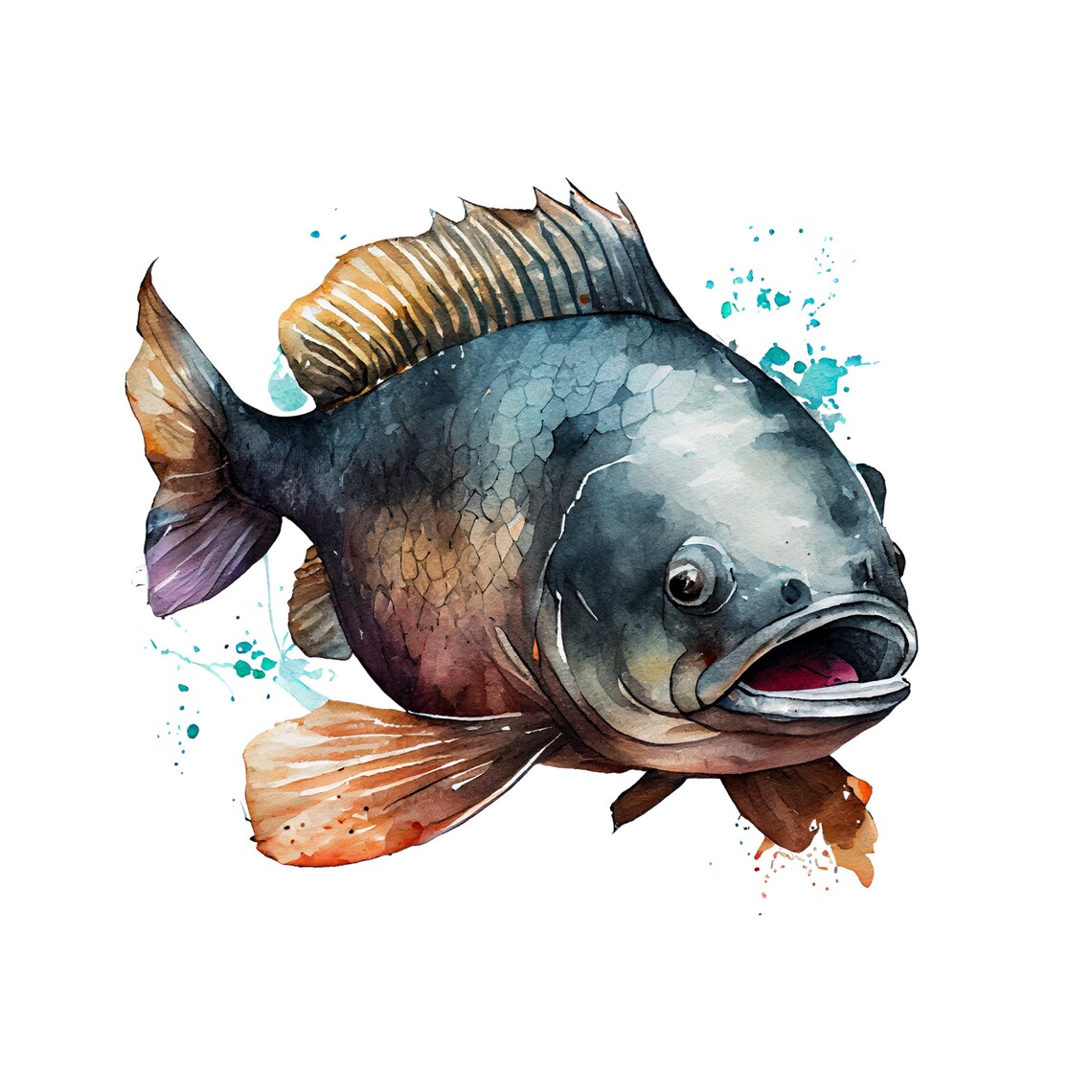 Carp Fish Watercolor Digital Art Clipart PNG File Set of 4 - Etsy
