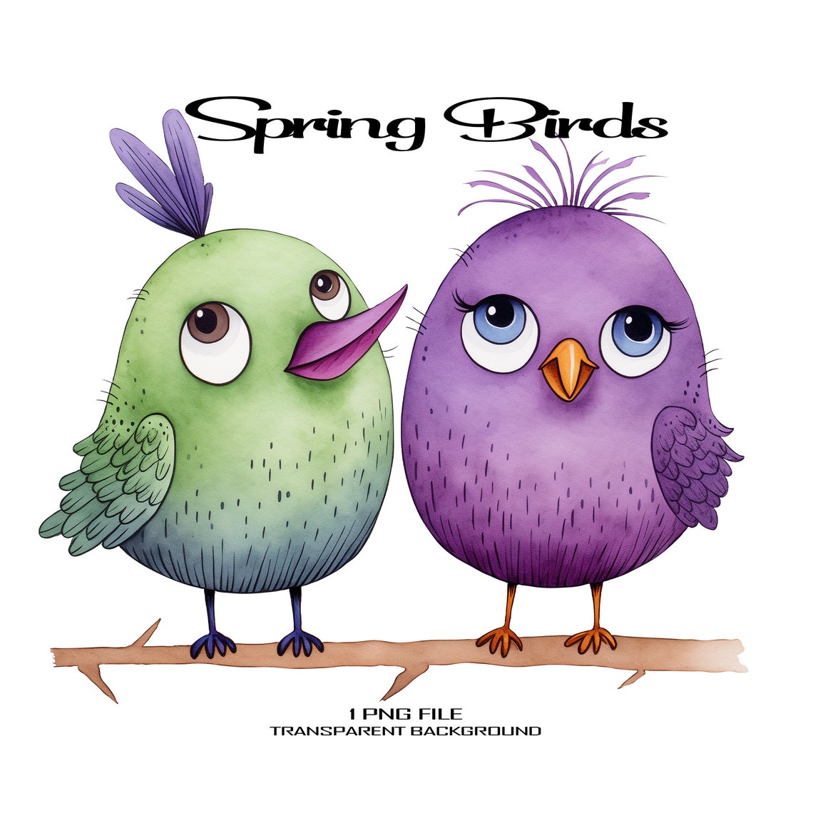 Cartoon Spring Birds Clipart - Etsy