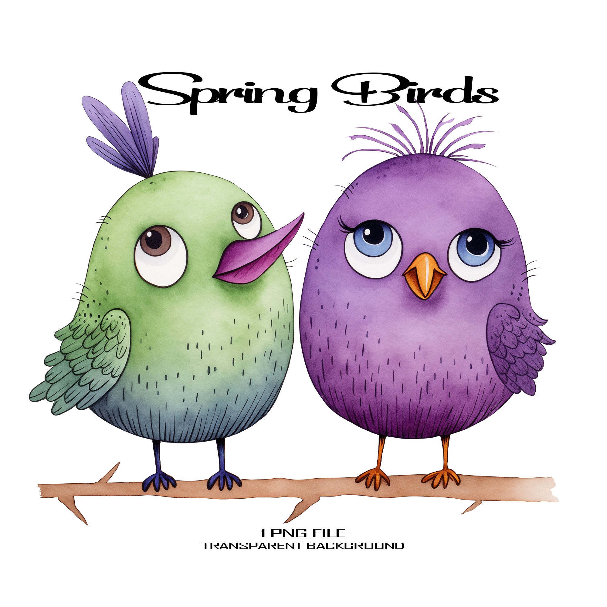 Cartoon Spring Birds Clipart - Etsy