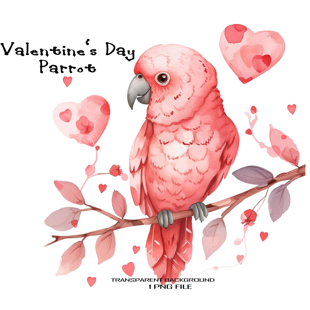 Valentine's Day Parrot Clipart With Transparent Background - Etsy