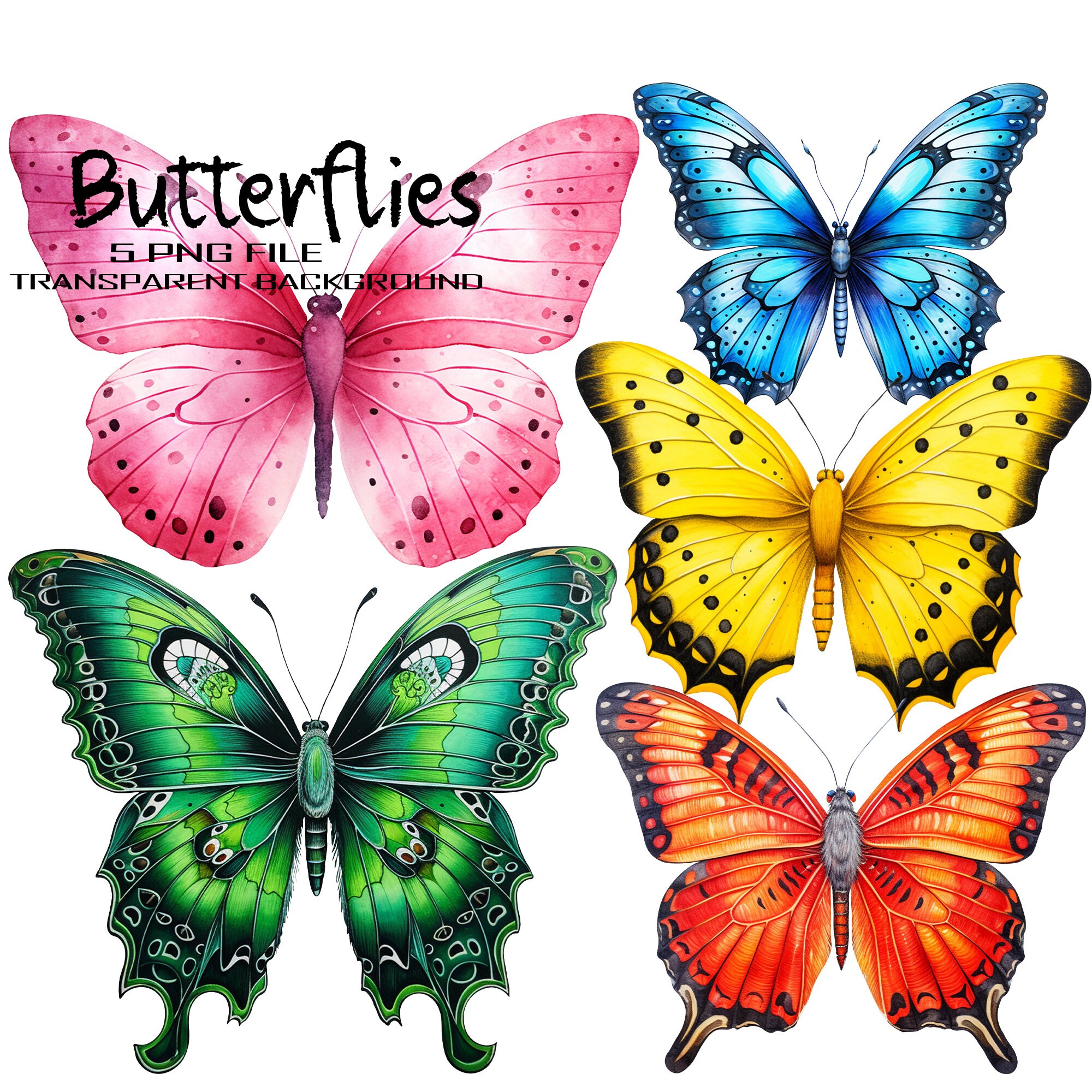 Butterfly Clipart, Colorful Insect PNG Images Set - Etsy