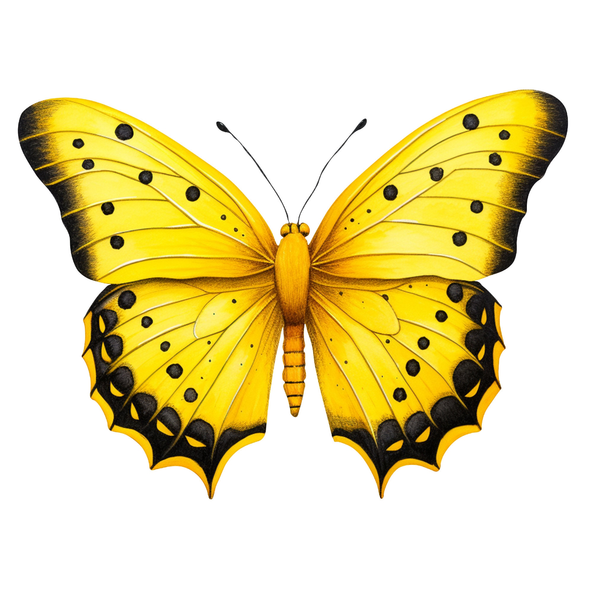 Butterfly Clipart, Colorful Insect PNG Images Set - Etsy