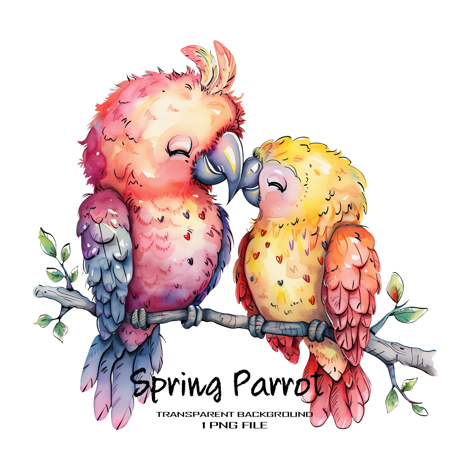 Parrot PNG Clipart, Watercolor Bird Digital Art - Etsy