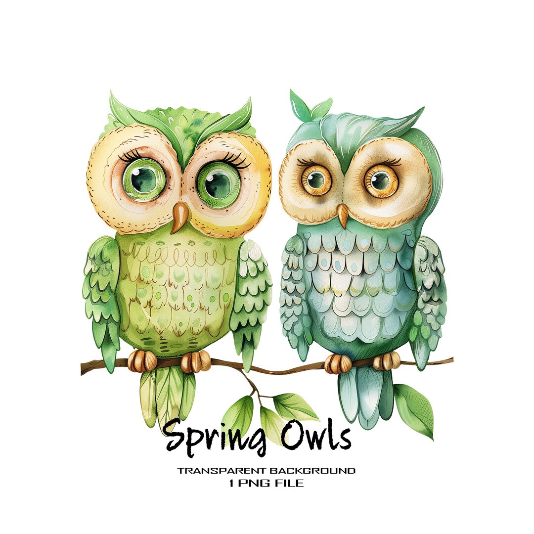 Spring Owls Watercolor PNG Clipart With Transparent Background - Etsy