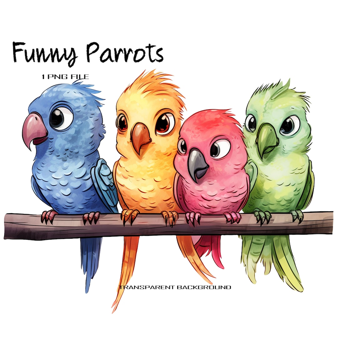 Cute Parrot Clipart With Transparent Background - Etsy