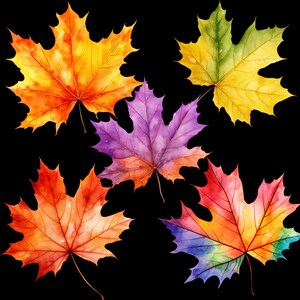 Autumn PNG Clipart Maple Leaf Set of 5 Images - Etsy UK