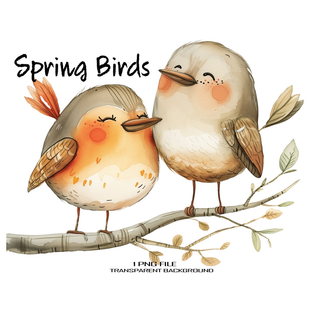 Bird Clipart, Cute Spring PNG Image - Etsy