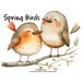 Bird Clipart, Cute Spring PNG Image - Etsy
