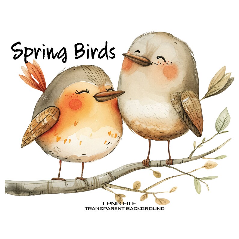 Bird Clipart, Cute Spring PNG Image - Etsy