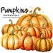 Fall Harvest Pumpkins Clipart Set of 8 Images - Etsy