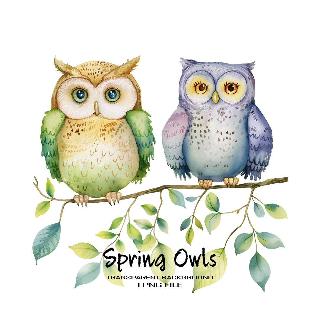 Bird Clipart, Cute Owls Watercolor PNG File - Etsy
