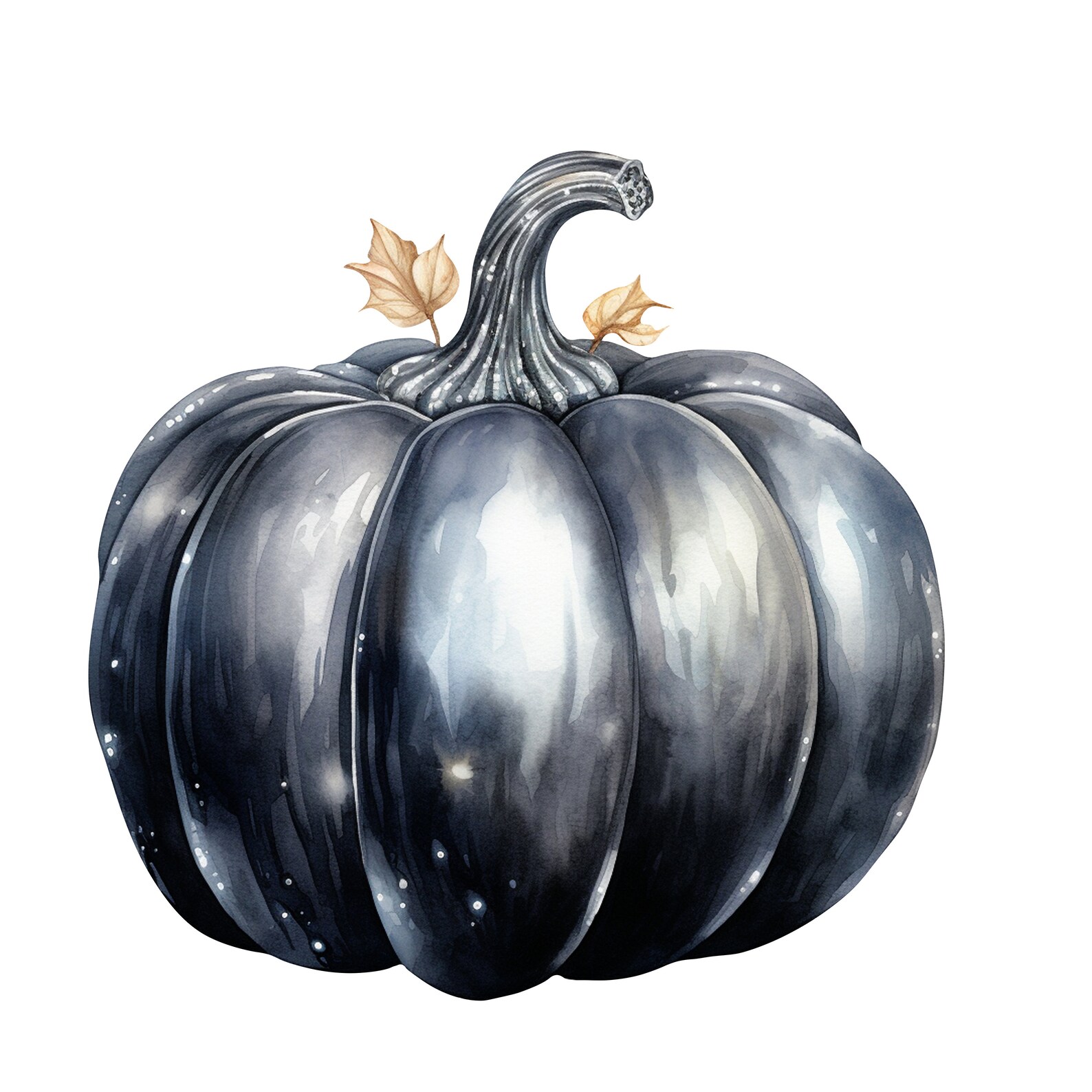 Black Pumpkins Clipart Set of 5 Png Images for Halloween - Etsy