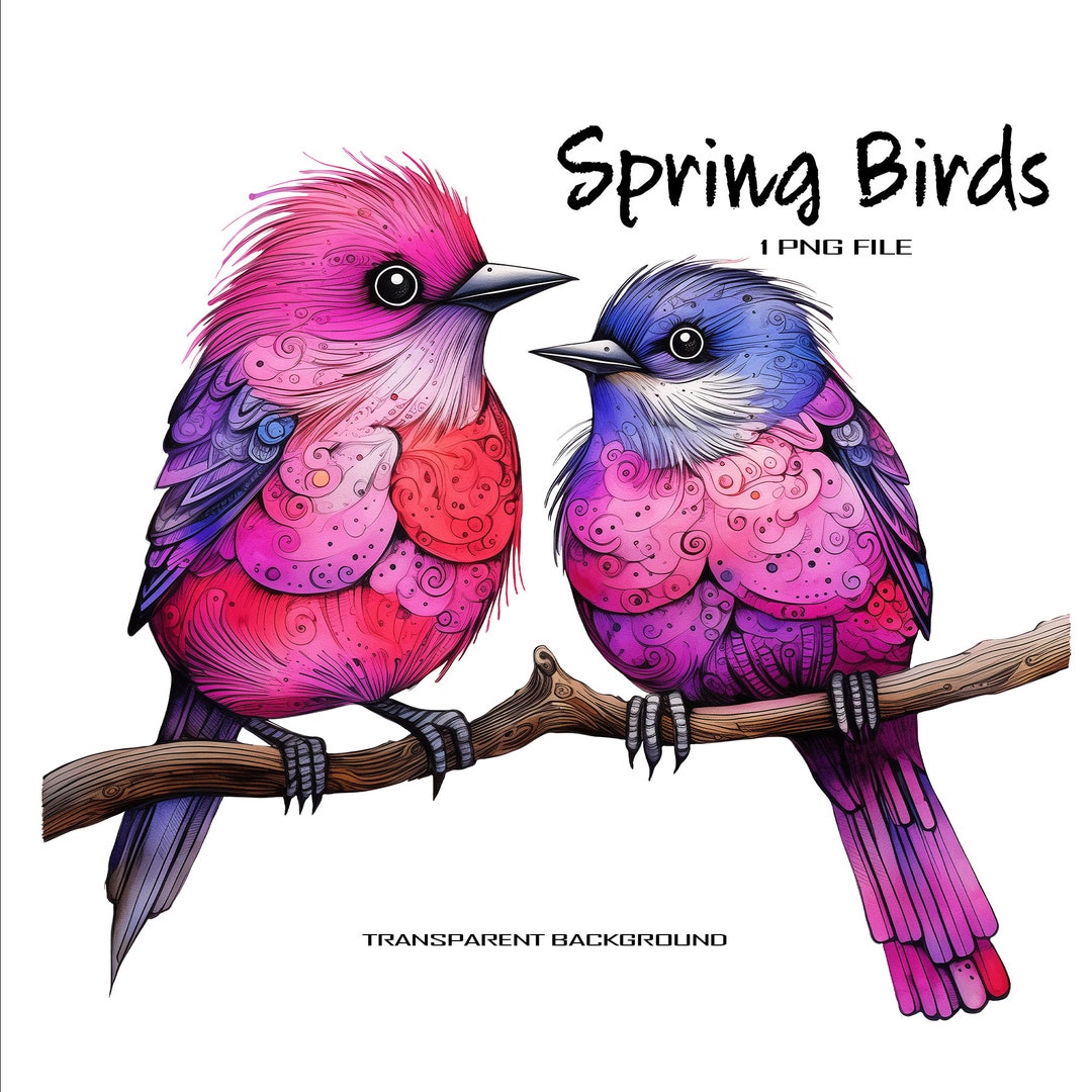 Clipart With Transparent Background, Cute Spring Birds PNG - Etsy
