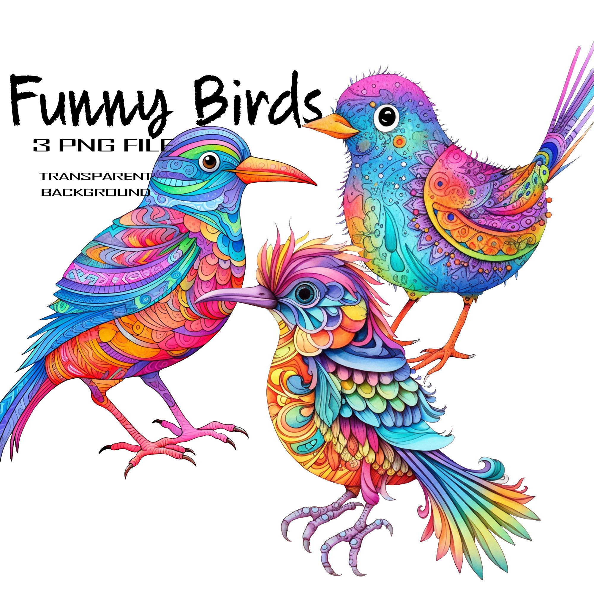 Colorful Bird Clipart