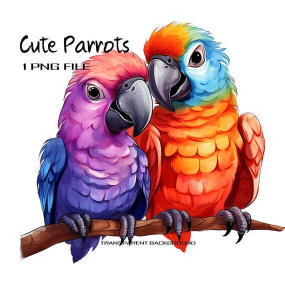Parrot Bird Clipart