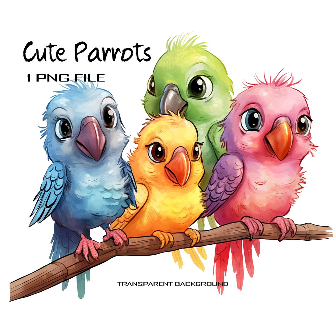Parrot Clipart With Transparent Background, Cute Birds PNG - Etsy