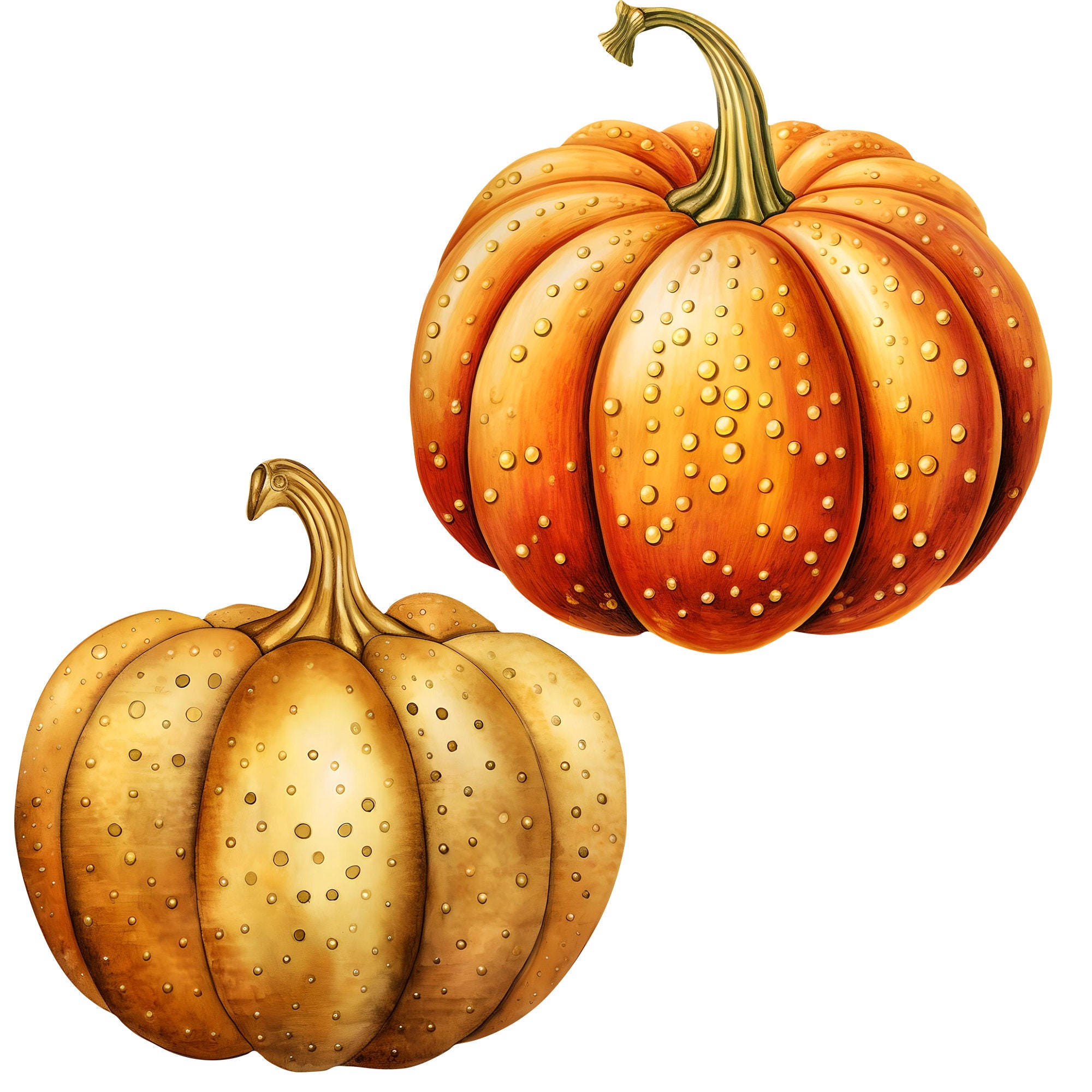 Fall Harvest Pumpkins Clipart Set of 8 Images - Etsy
