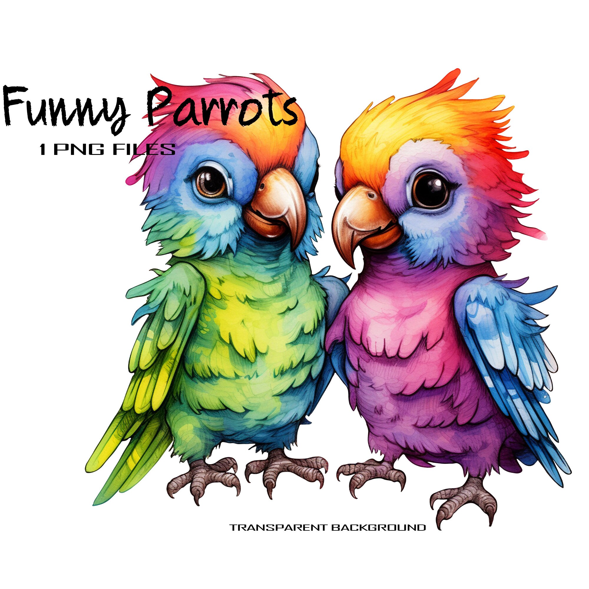 Funny Bird Clipart, Two Cute Parrots PNG - Etsy