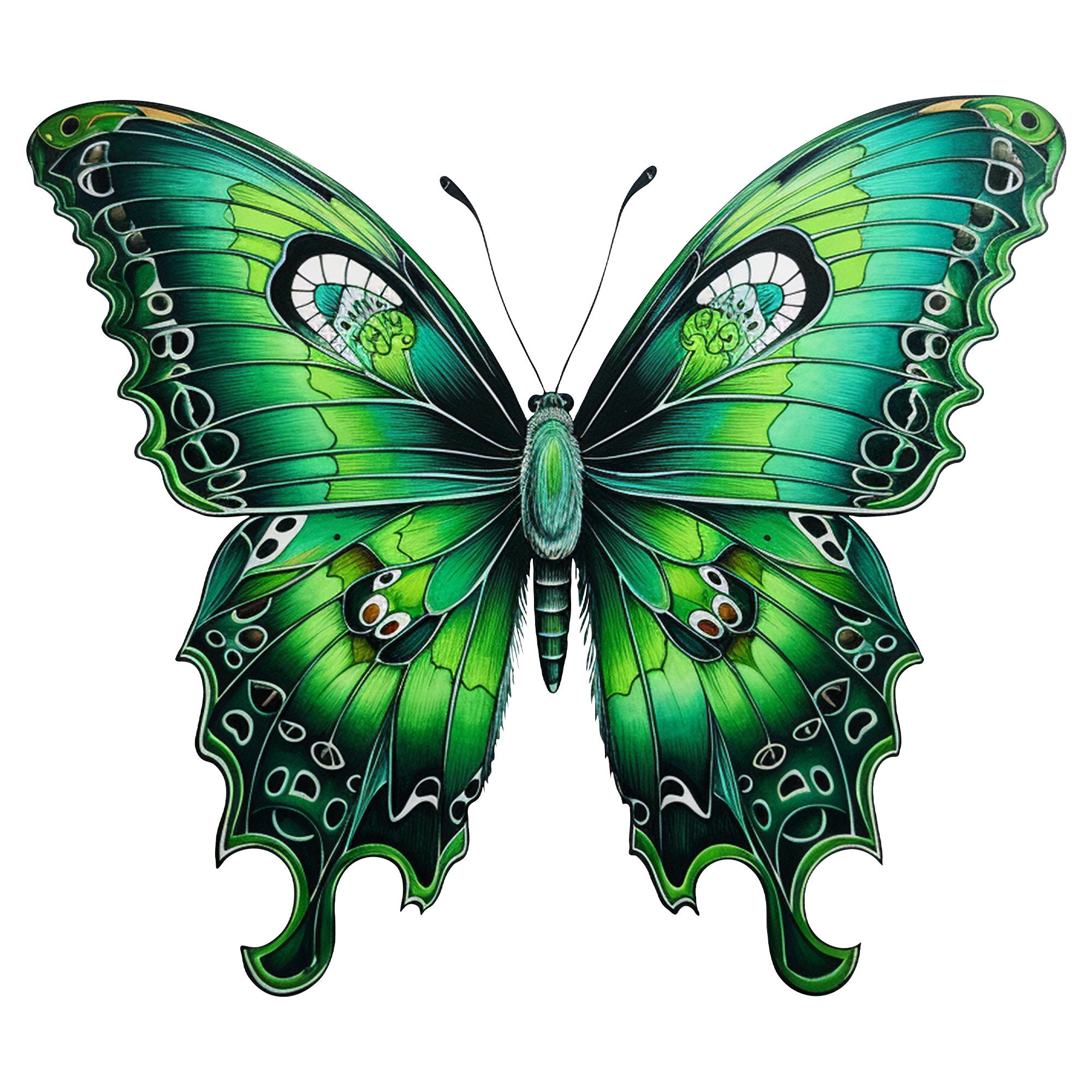 Butterfly Clipart, Colorful Insect PNG Images Set - Etsy