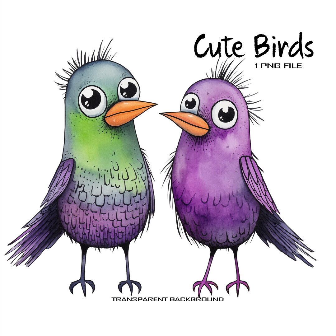 Bird Clipart With Transparent Background - Etsy