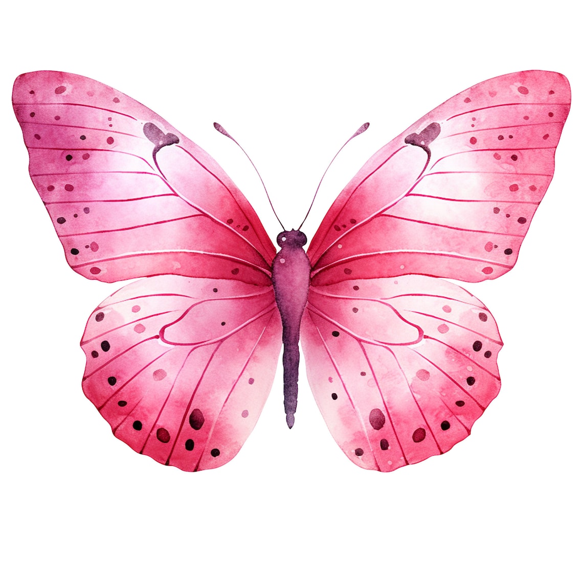 Butterfly Clipart Colorful Insect PNG Images Set - Etsy