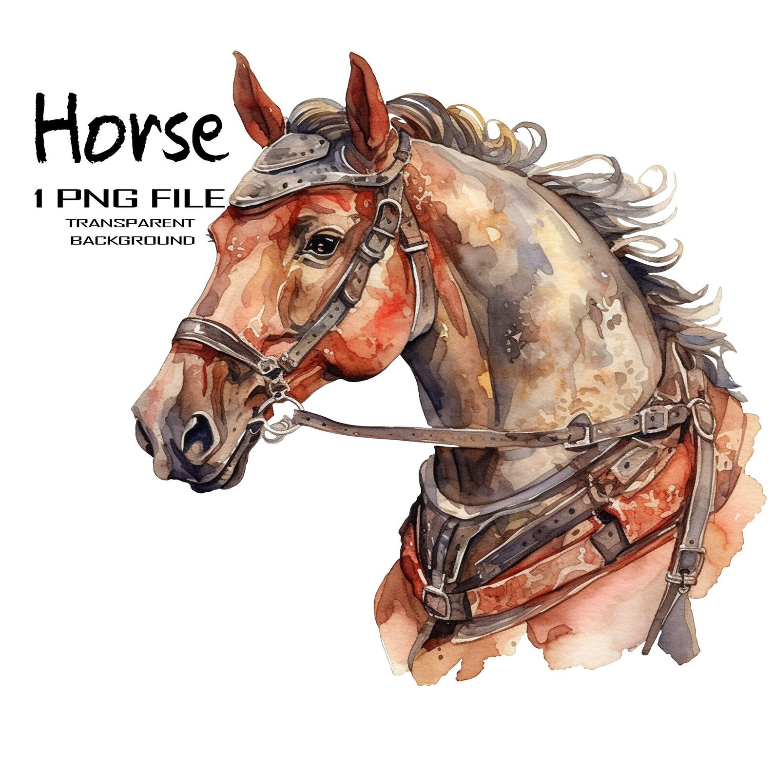 Farm Animal Clipart, Watercolor Horse Watercolor PNG Clip Art - Etsy