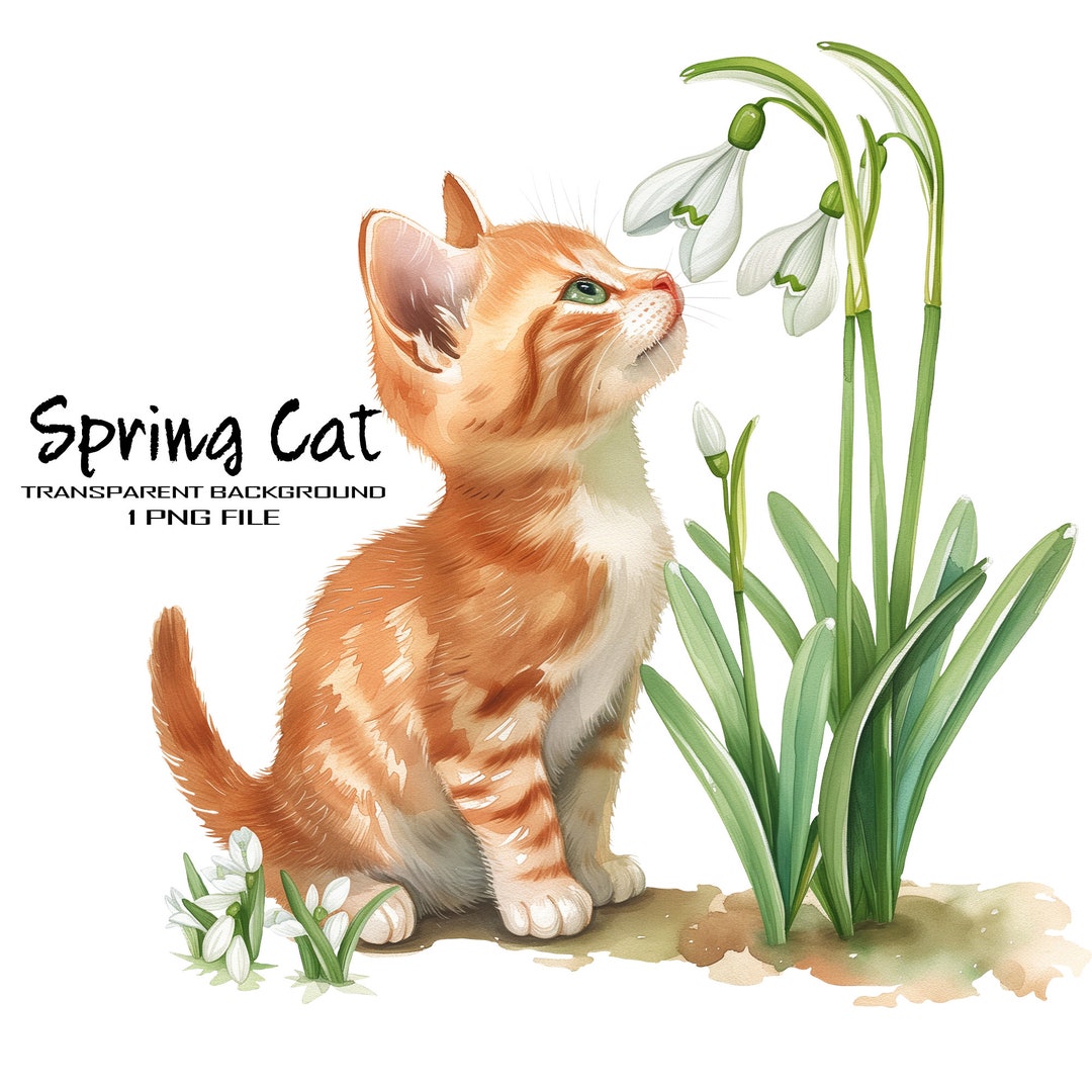 Cat Clipart, Spring Flowers Snowdrops PNG Digital Art File - Etsy