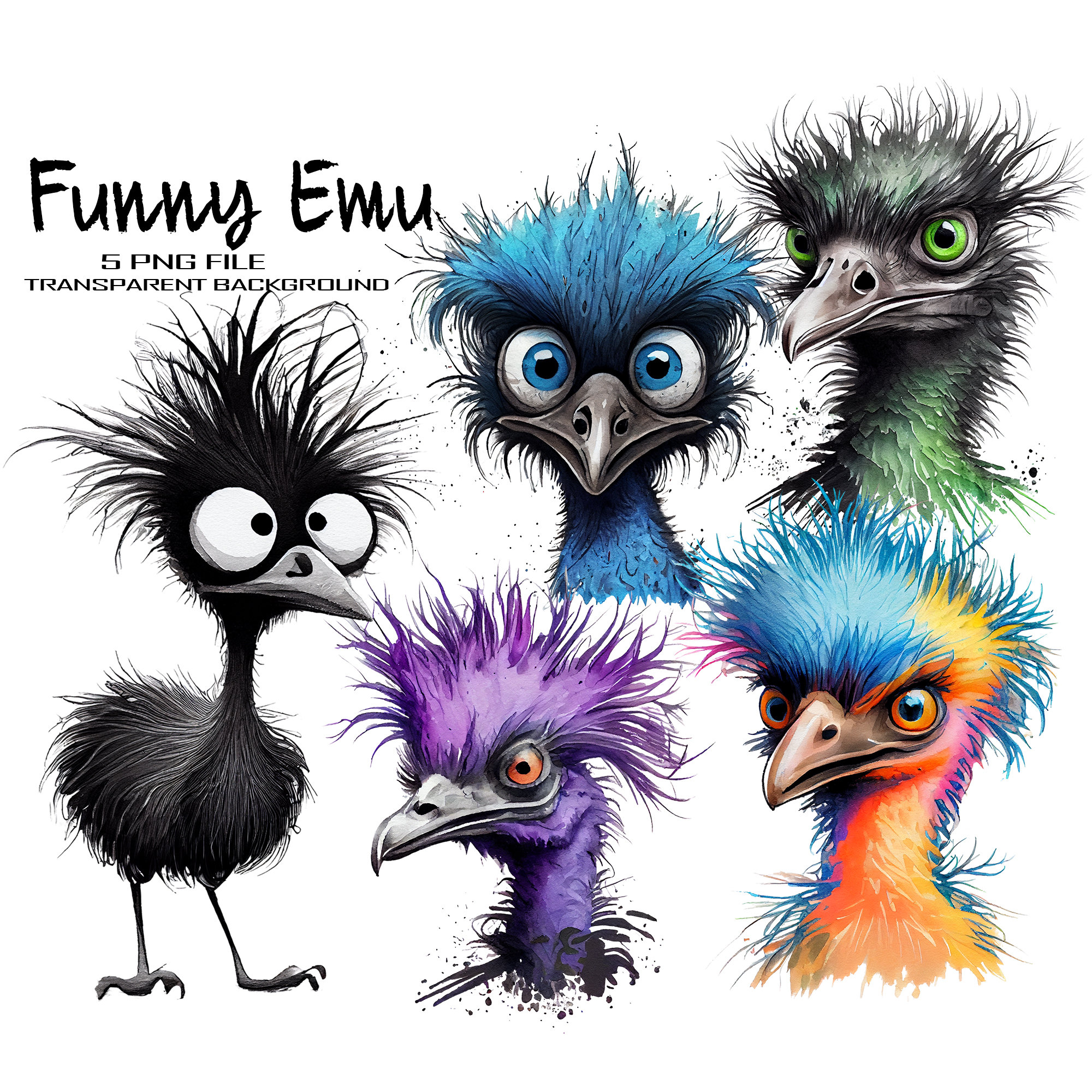 Emu Egg Clipart