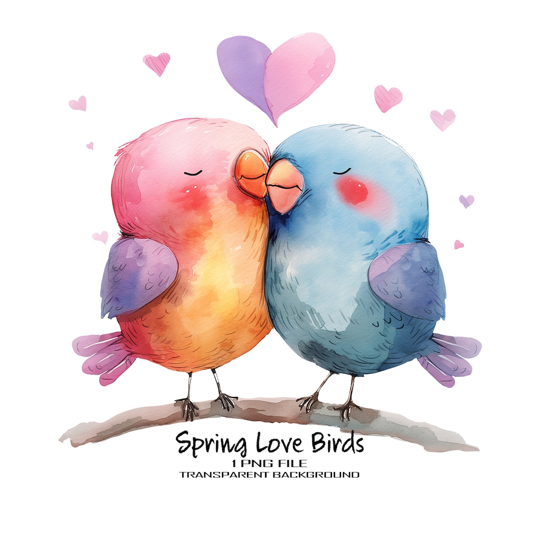Cute Love Birds Watercolor PNG Clipart - Etsy