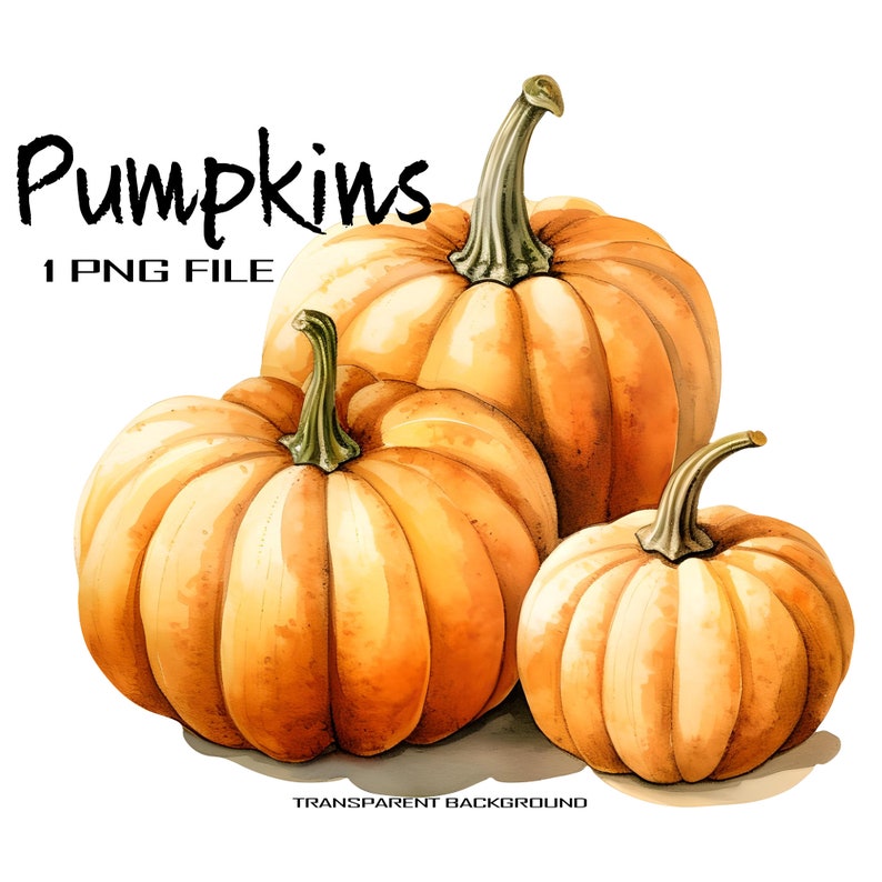 Autumn Harvest Watercolor Pumpkins, Digital Clipart - Etsy